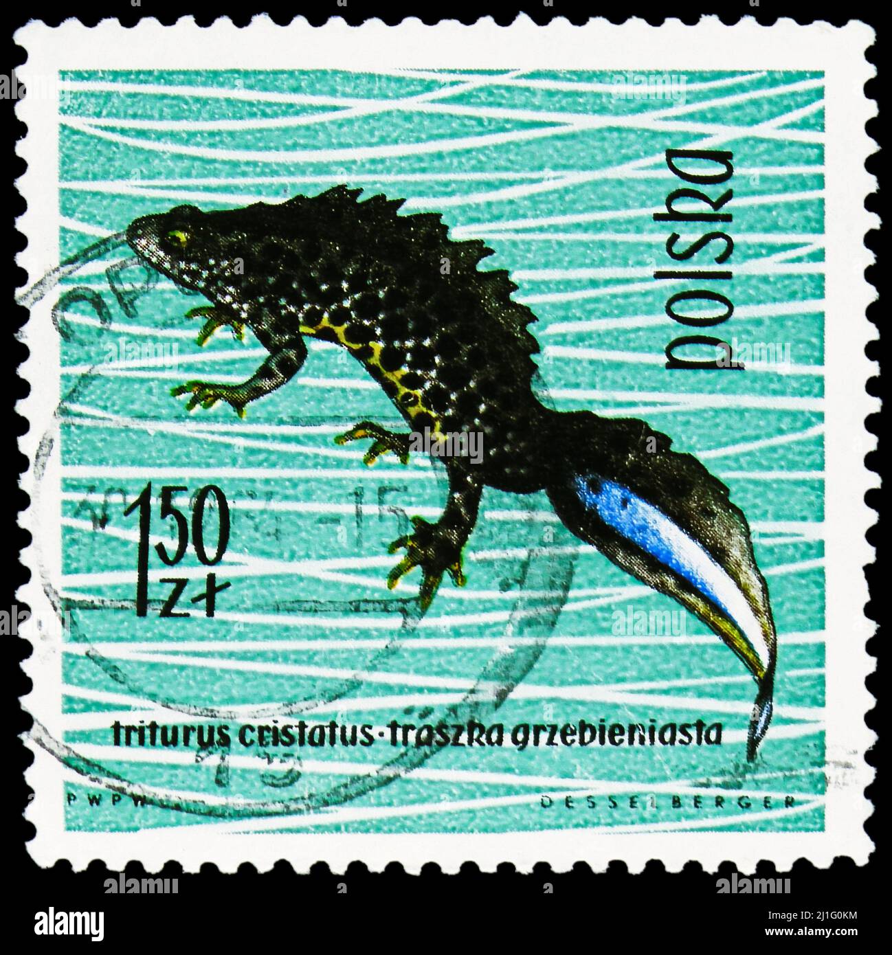 MOSCOW, RUSSIA - MARCH 10, 2022: Postage stamp printed in Poland shows ...