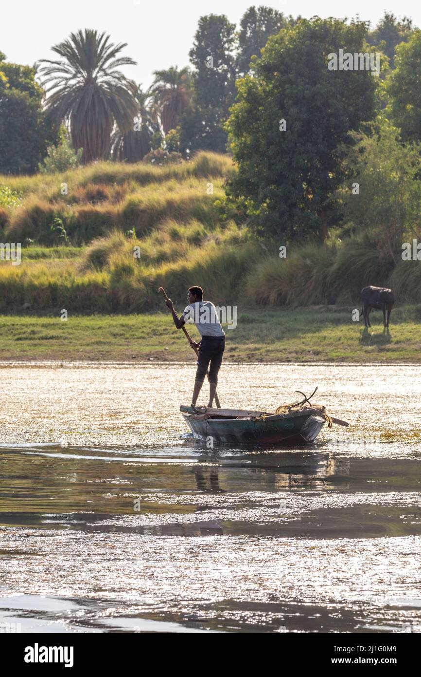 Local young man punting on the Nile in Aswan Stock Photo - Alamy