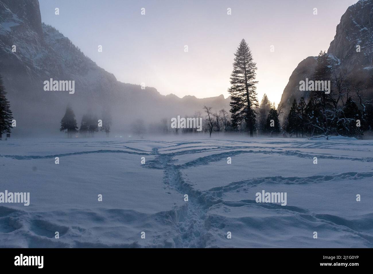 An eerie mist covers the floor of yosemite valley, while a thin layer ...