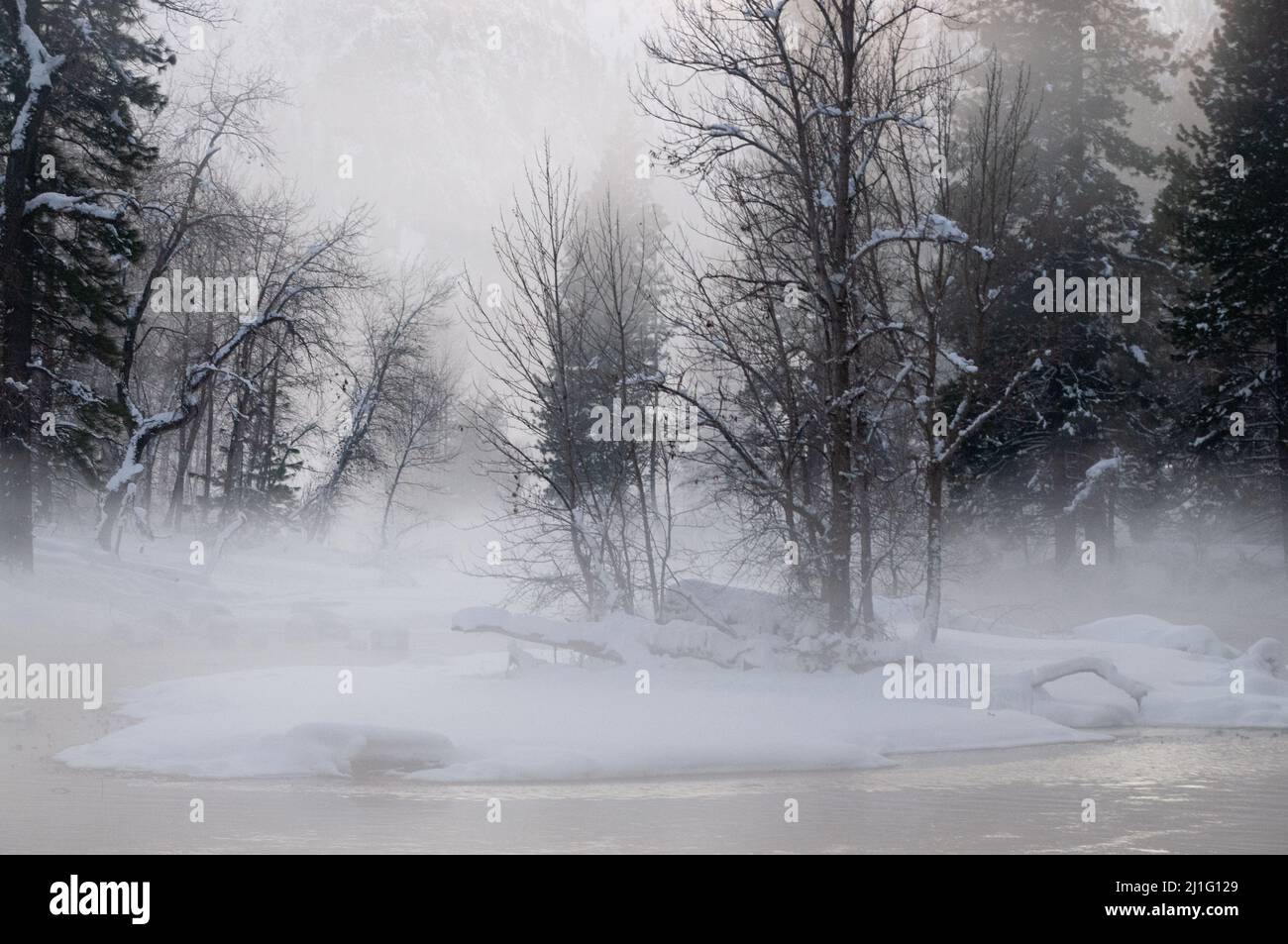 An eerie mist covers the floor of yosemite valley, while a thin layer ...