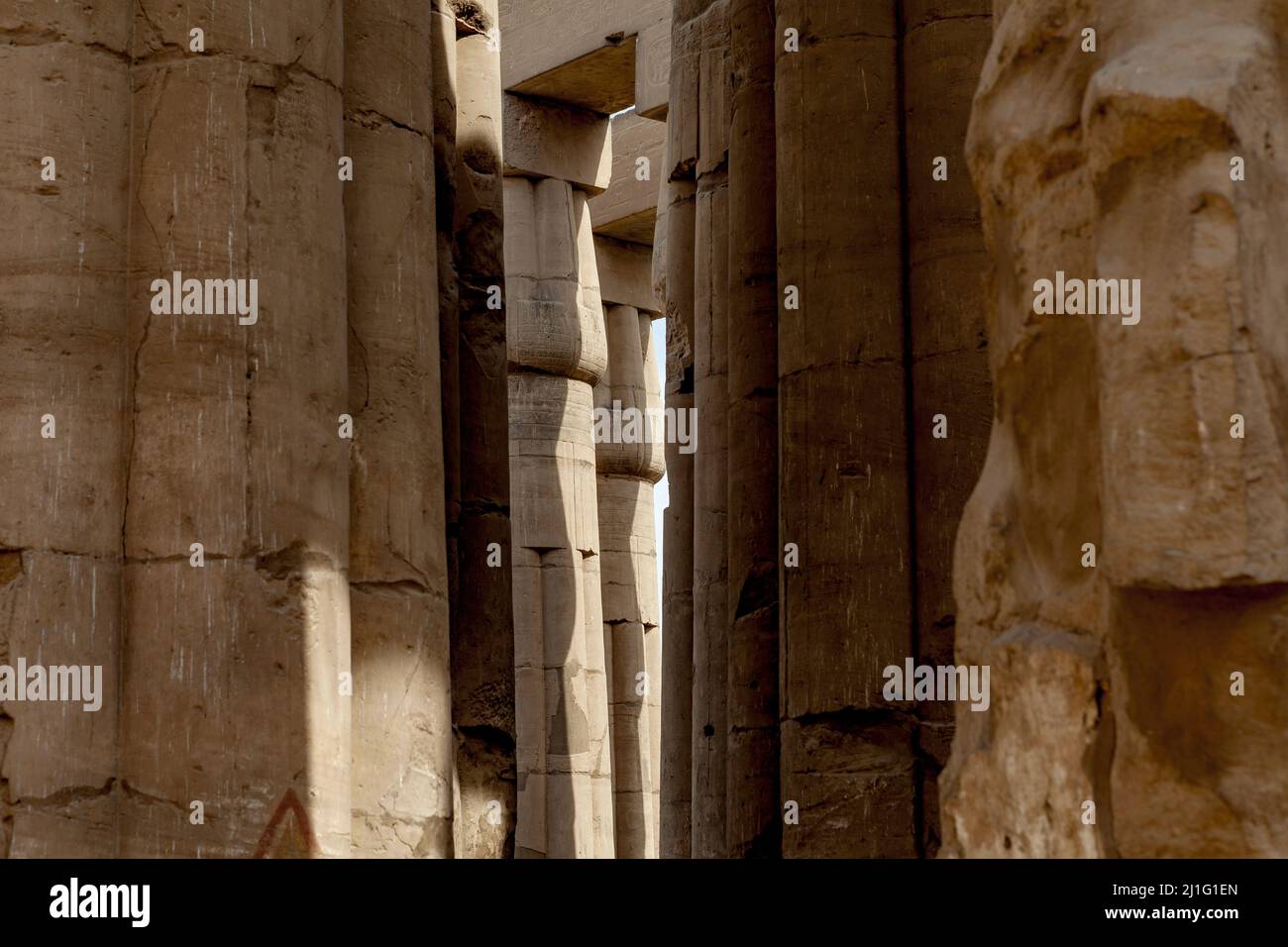 Papyrus columns of the Hypostyle Hall in the Court of Amenhotep III ...