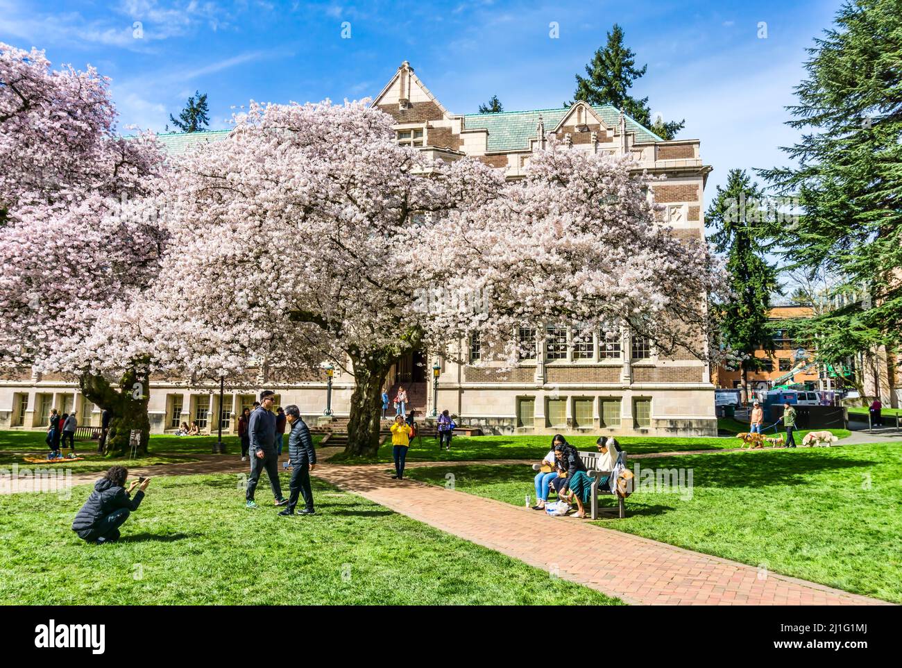 Uw Quad