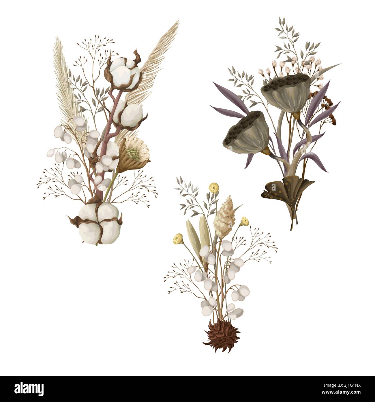 Dry bouquets Stock Vector Images - Alamy