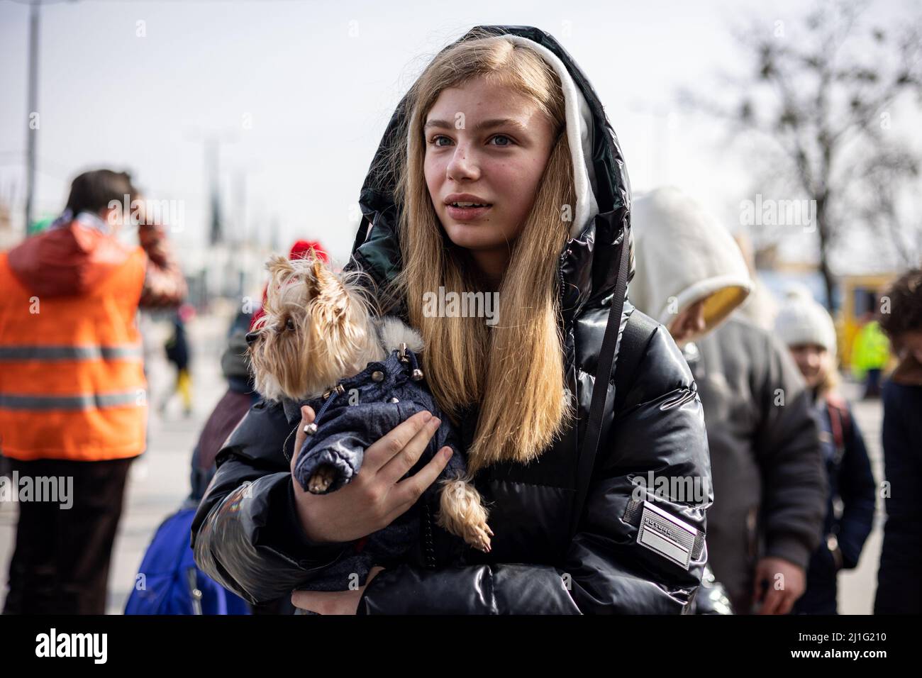 LVIV, UKRAINE - March 12, 2022: Humanitarian catastrophe during at war ...