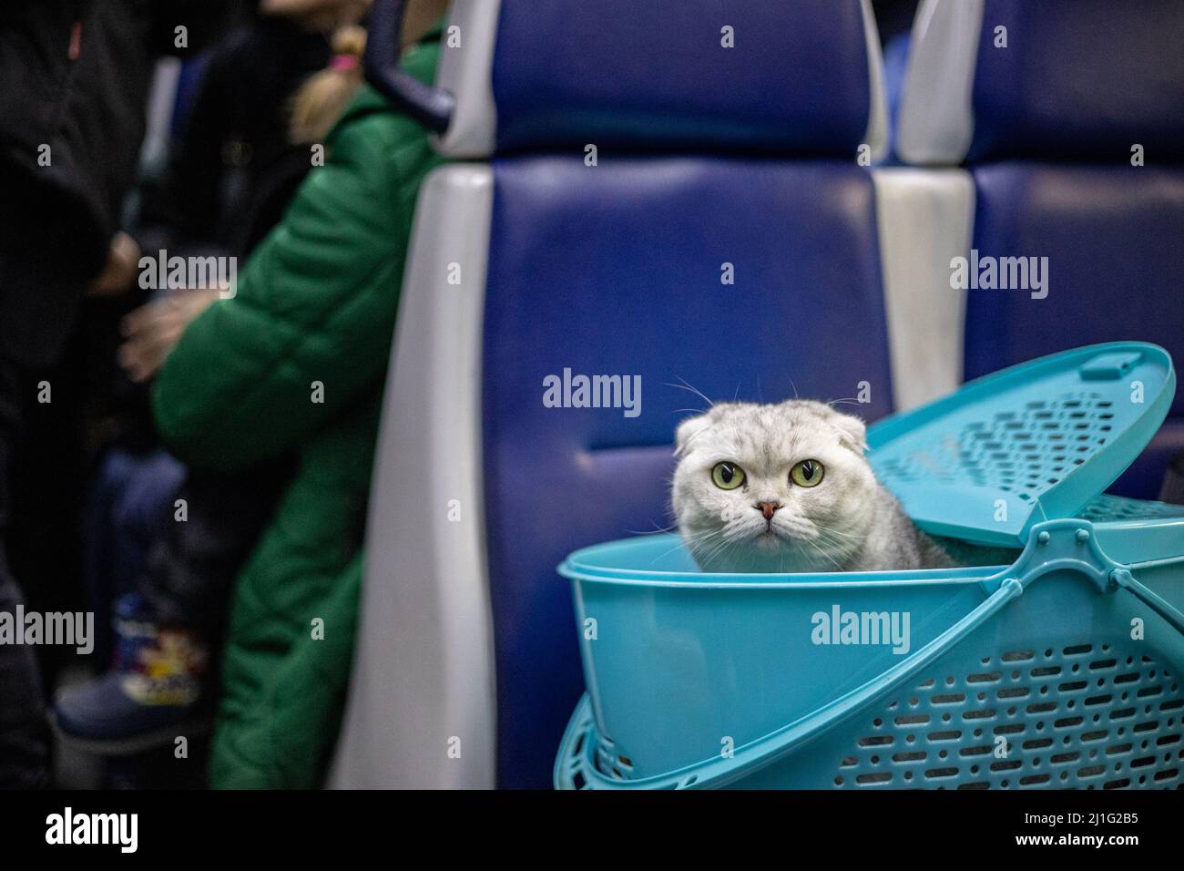 LVIV, UKRAINE - March 12, 2022: Humanitarian catastrophe during at war ...