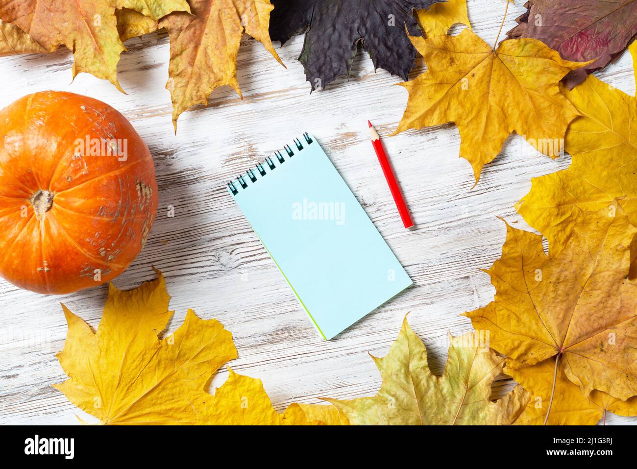 Spiral notepad with pencil and ripe pumpkins Stock Photo - Alamy