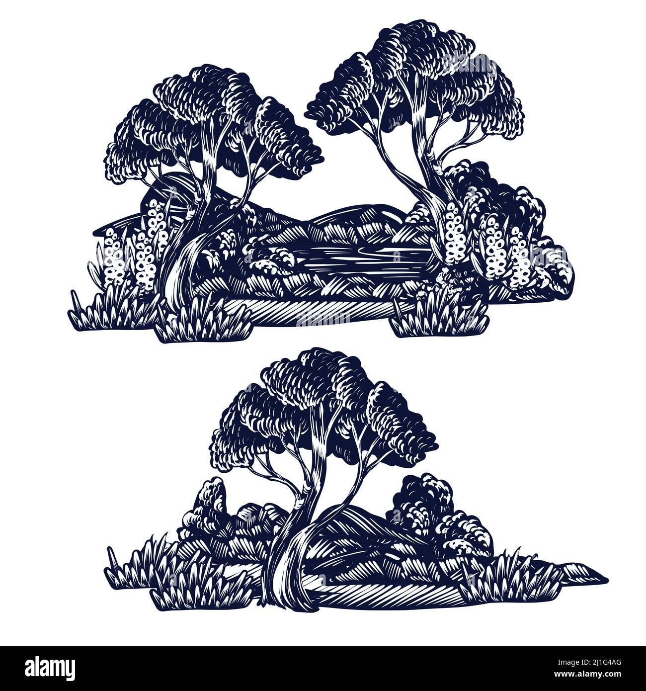 Graphic trees, bushes and plants isolated. Etching style print Stock ...