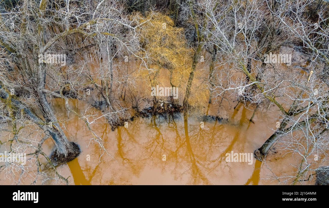 A river in the woods flooded from all the rain and melting snow as ...
