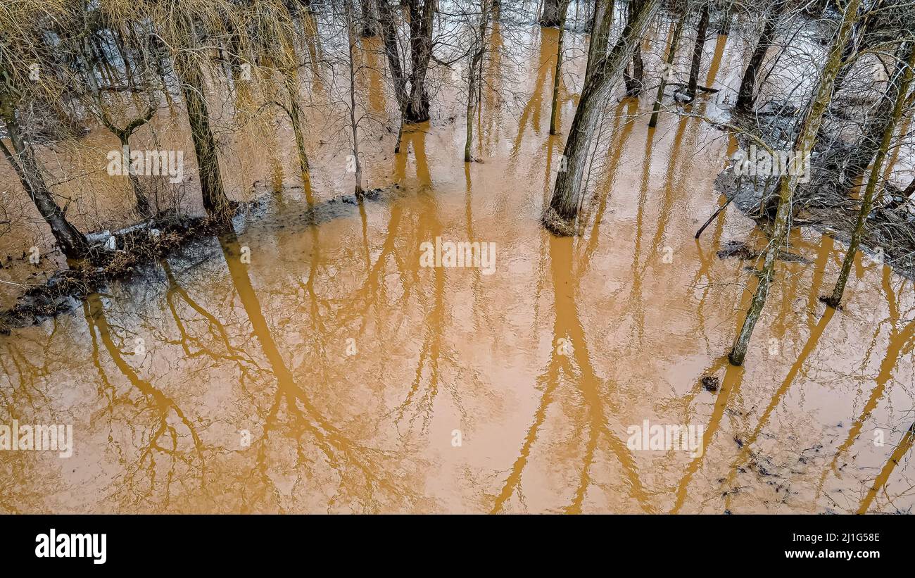 A river in the woods flooded from all the rain and melting snow as ...