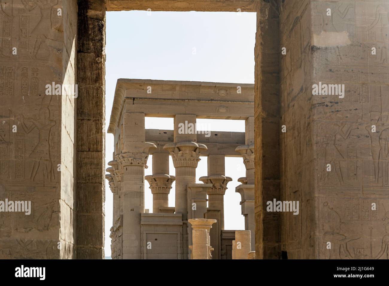 Philadelphus gate hi-res stock photography and images - Alamy