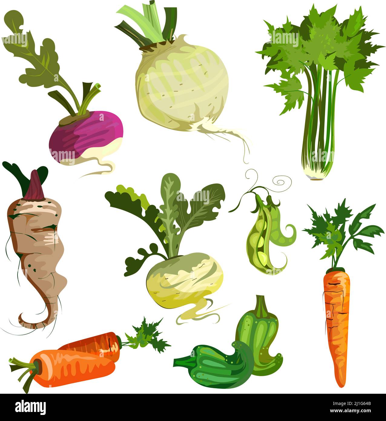 Vegetables from garden set. Collection of farm harvest. Can be used for ...