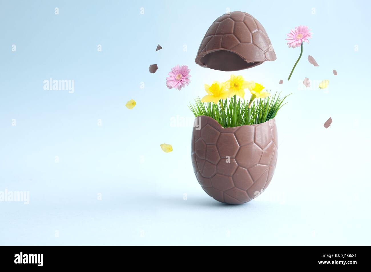 Chocolate easter egg cracking open with explosion of spring flowers ...