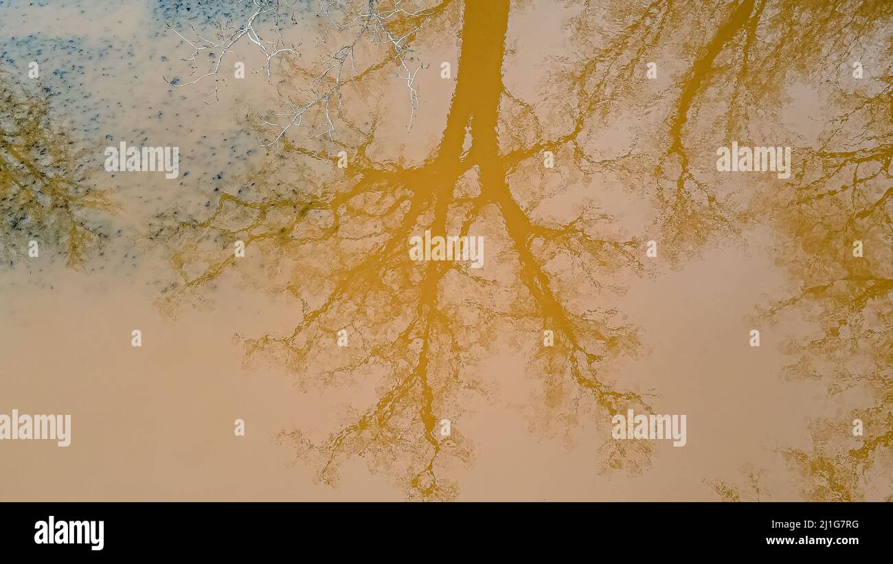 A river in the woods flooded from all the rain and melting snow as ...