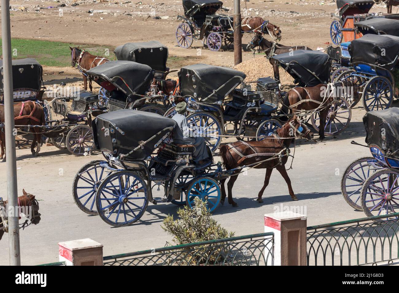 Horse-drawn carriages at Edfu Stock Photo - Alamy