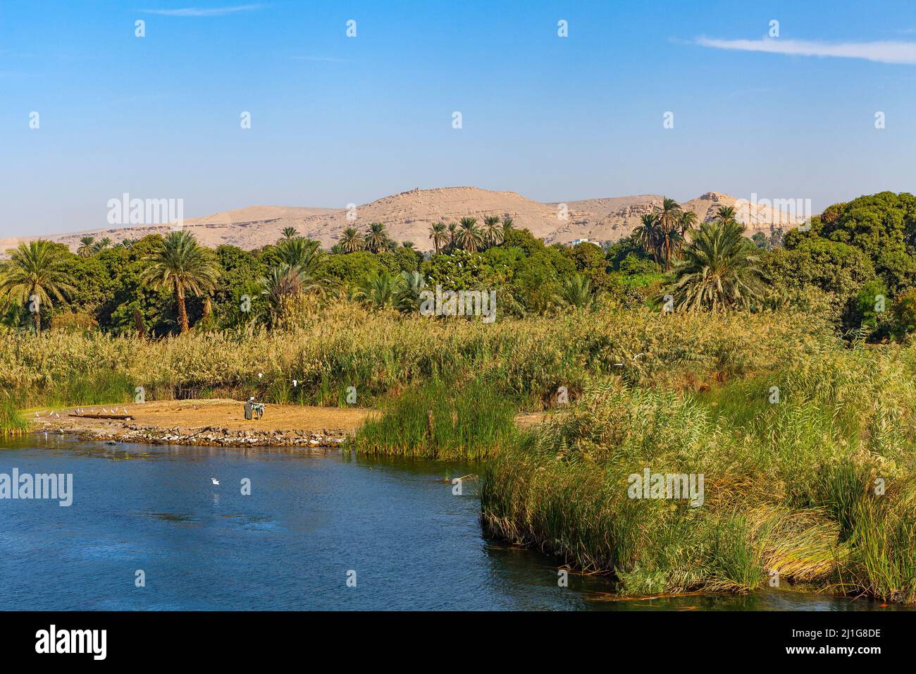 River bank of the Nile Stock Photo - Alamy