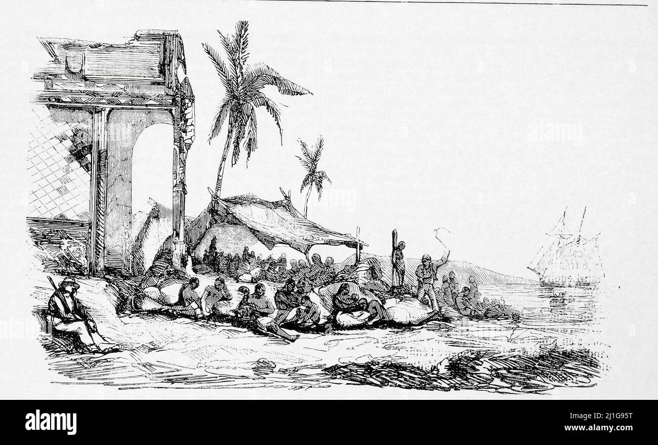 Eng translation : " Slave Market " - Original in French : " Marché d ...
