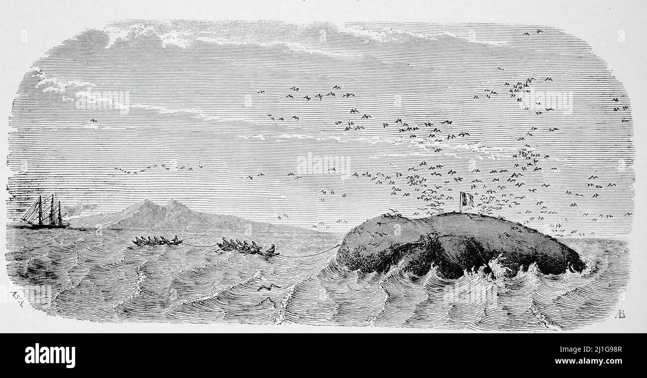 Eng translation : " Harpooned and towed whale.. - Extract from "L ...