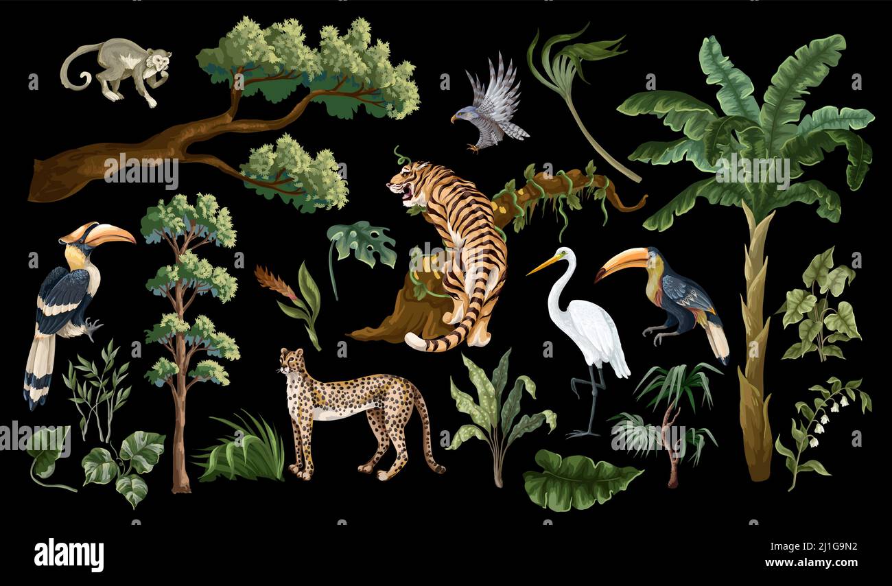 Animals, white background Stock Vector Images - Alamy