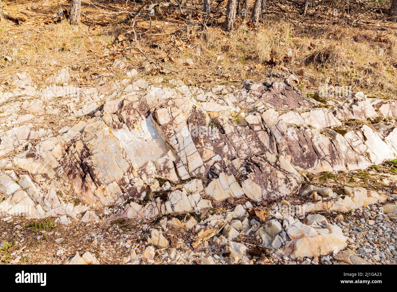 Goat rock trail hi-res stock photography and images - Alamy