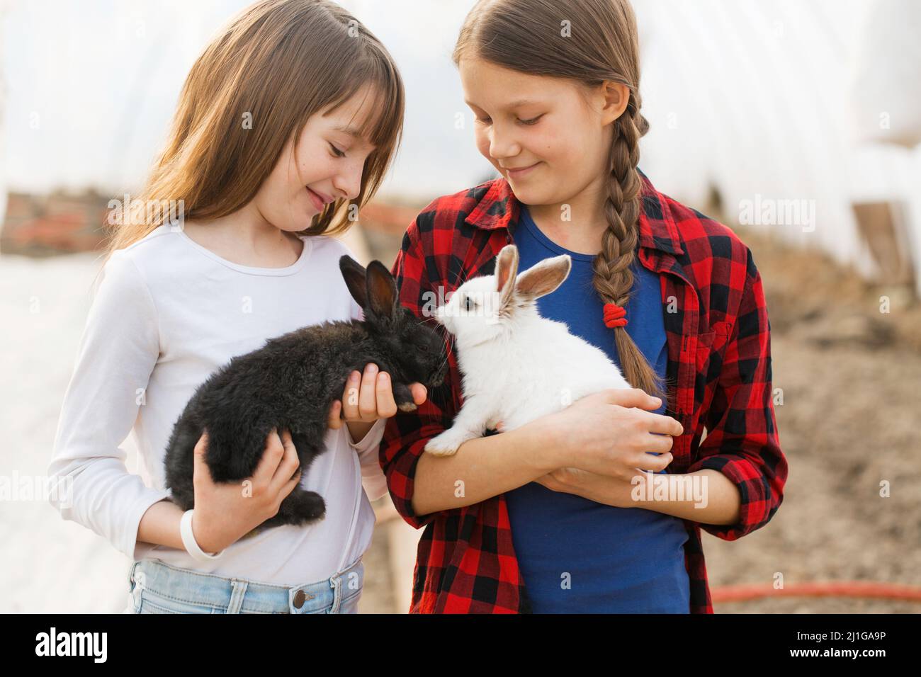 Two girls holding rabbits in their hands. Easter concept Stock Photo ...