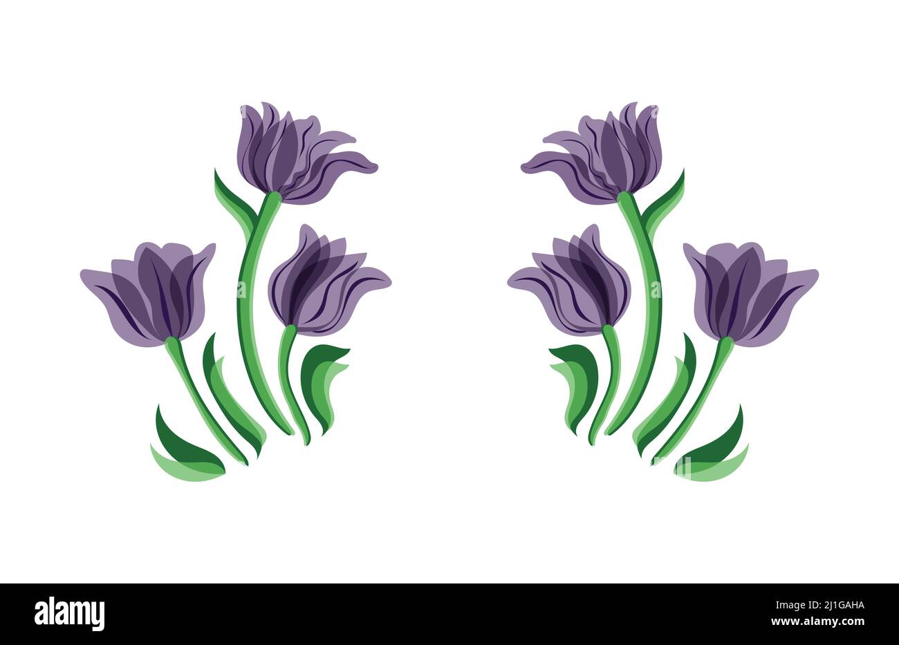 Dark purple tulip flower Stock Vector Images - Alamy