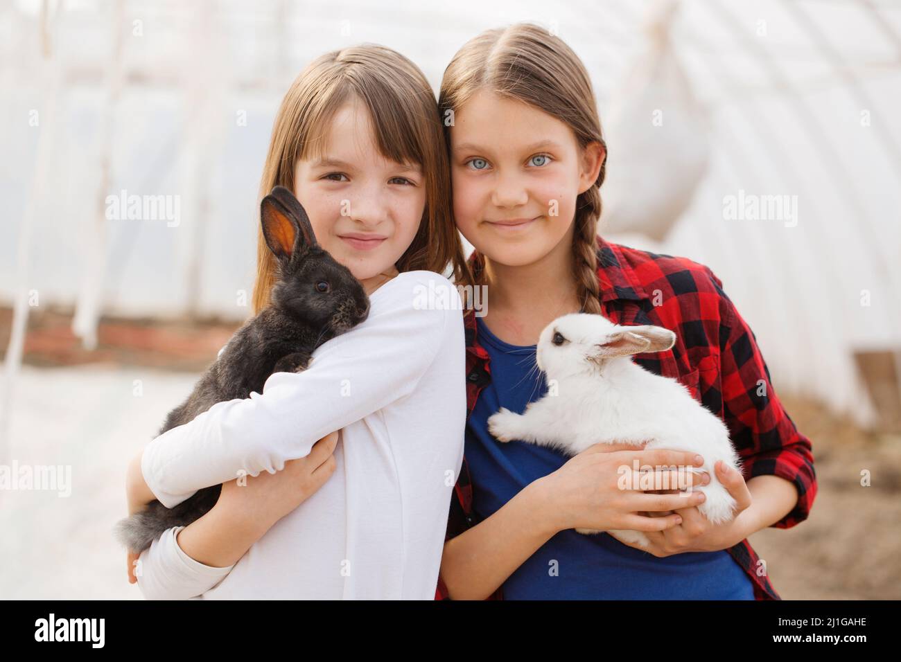 Two girls holding rabbits in their hands. Easter concept Stock Photo ...