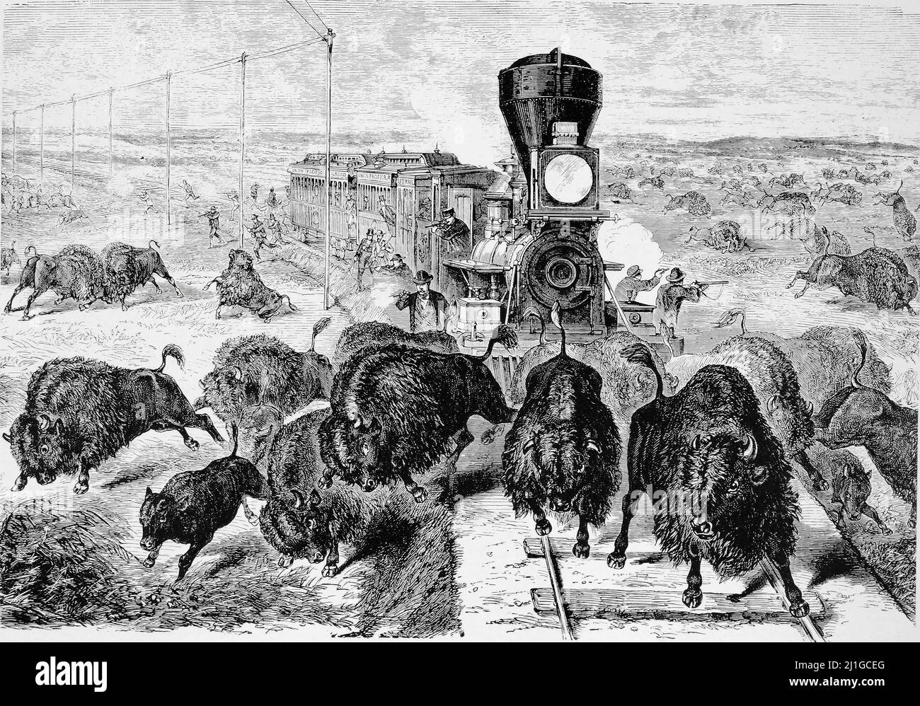 Buffalo railroad hunt hi-res stock photography and images - Alamy