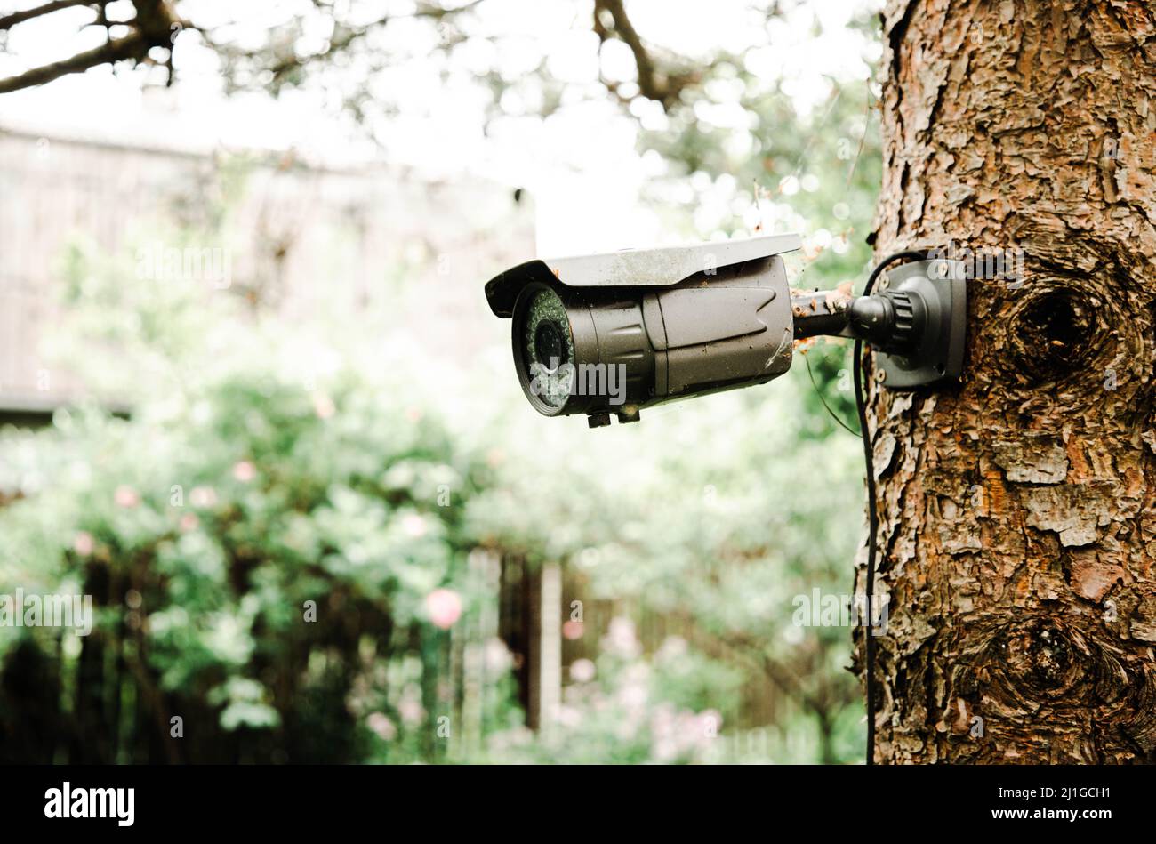 Gray surveillance camera hanging on a tree in the garden Stock Photo ...