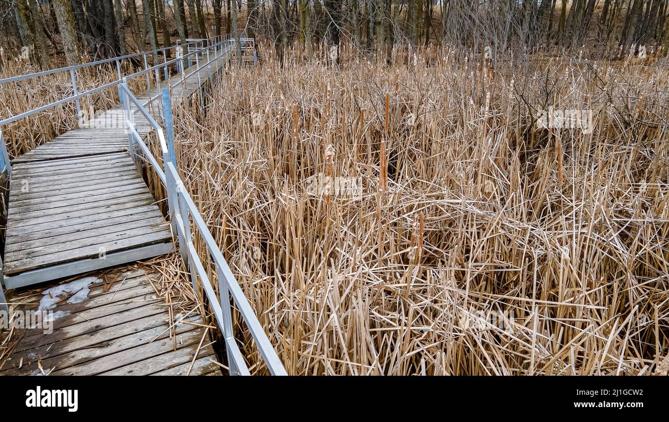 Ice starting to melt hi-res stock photography and images - Alamy