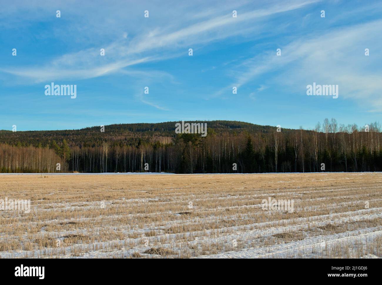 Empty field with hills in the back Stock Photo - Alamy