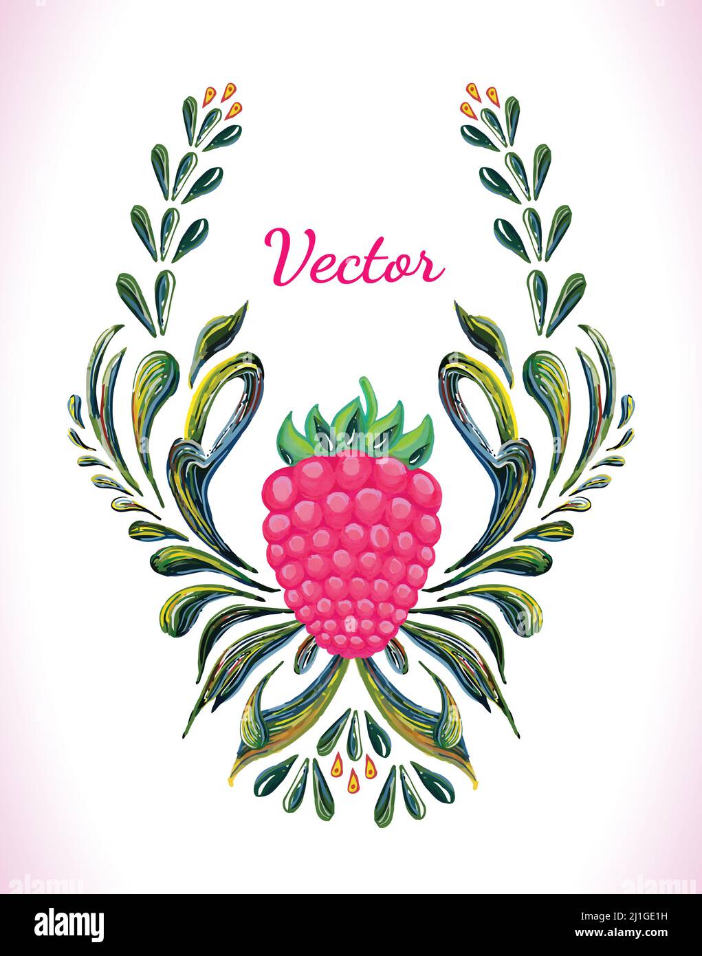 Hand painted raspberry isolated on white background Stock Vector Image ...