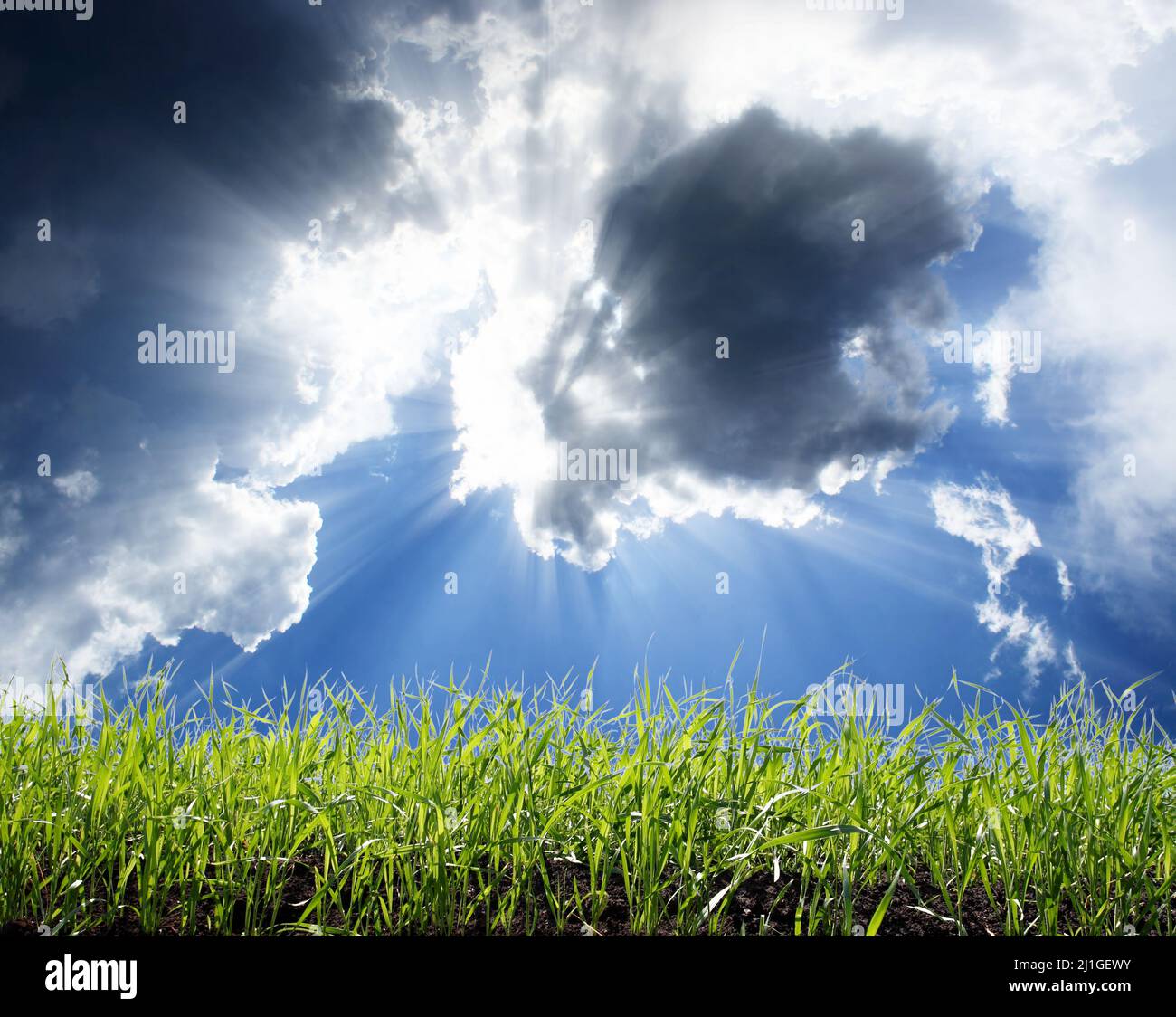 spring field and the beautiful blue sky Stock Photo - Alamy