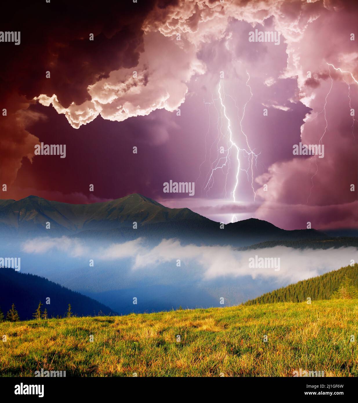 Lightning strike forest hi-res stock photography and images - Alamy