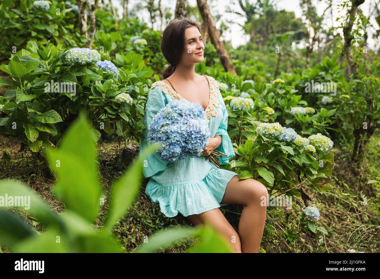 Young and beautiful woman florist collecting Hydrangea flowers Stock Photo - Alamy