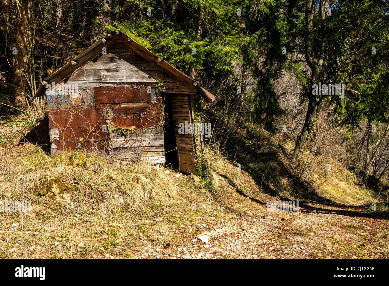 Cabin In The Woods Ancient One
