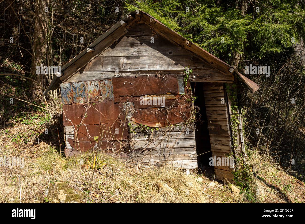 Old wooden shack, dilapidated ancient and abandoned in the forest Stock ...