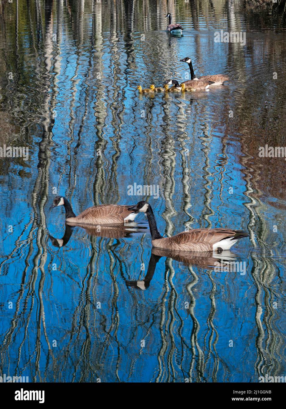 Enterprise wildlife refuge hi-res stock photography and images - Alamy