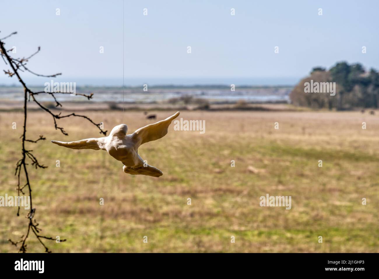 Jane scobie hi-res stock photography and images - Alamy
