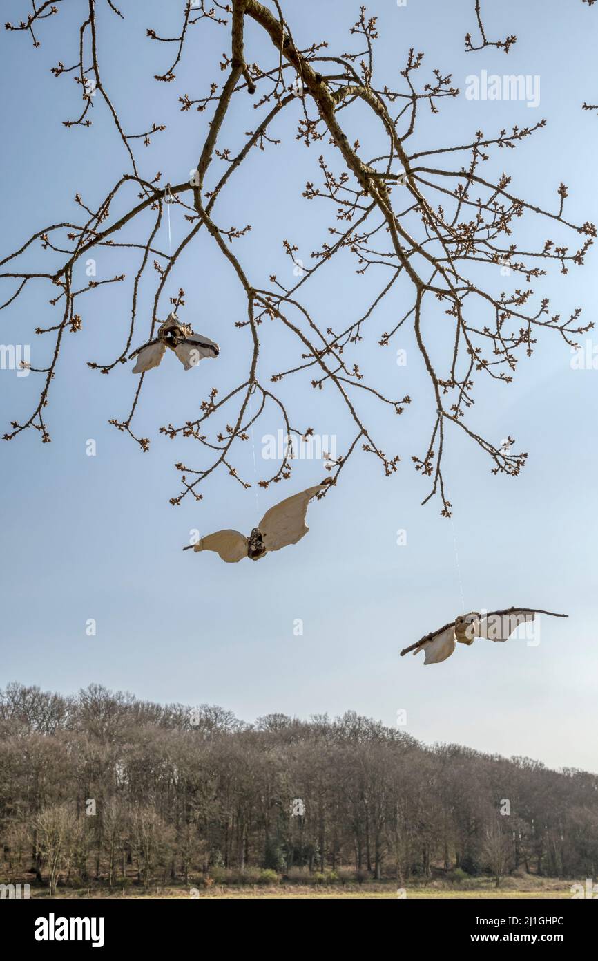 Hybrid is part of the Edgelands art installation by Jane Scobie ...