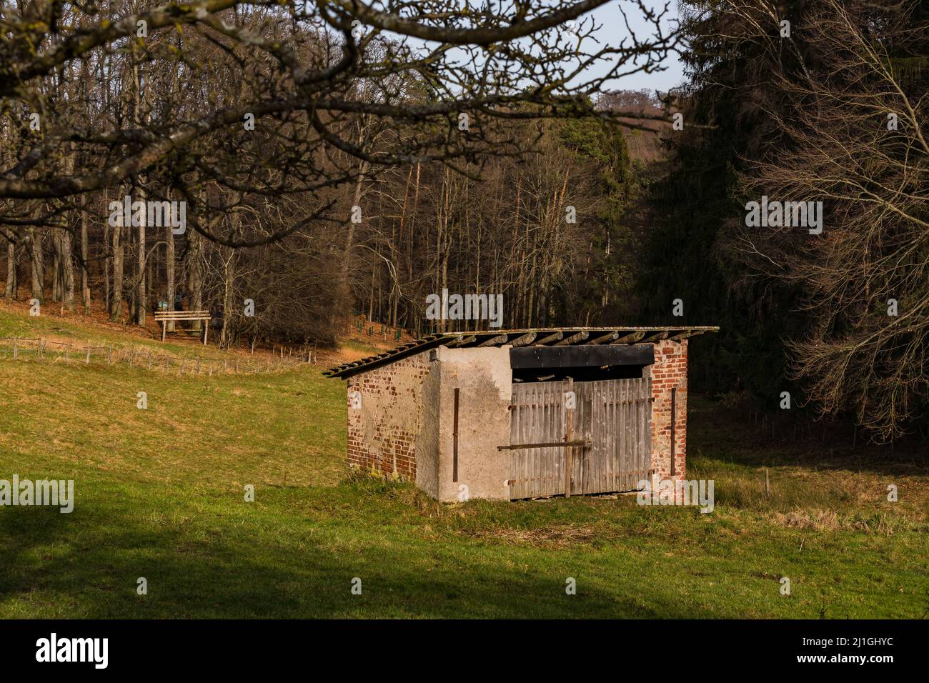 A pasture in a forest clearing with a simple hut Stock Photo - Alamy
