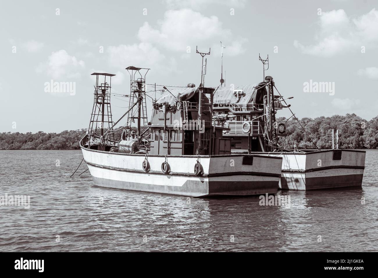 Old Goa Goa India - January 25th 2022: Marina Landscape at Old Goa ...