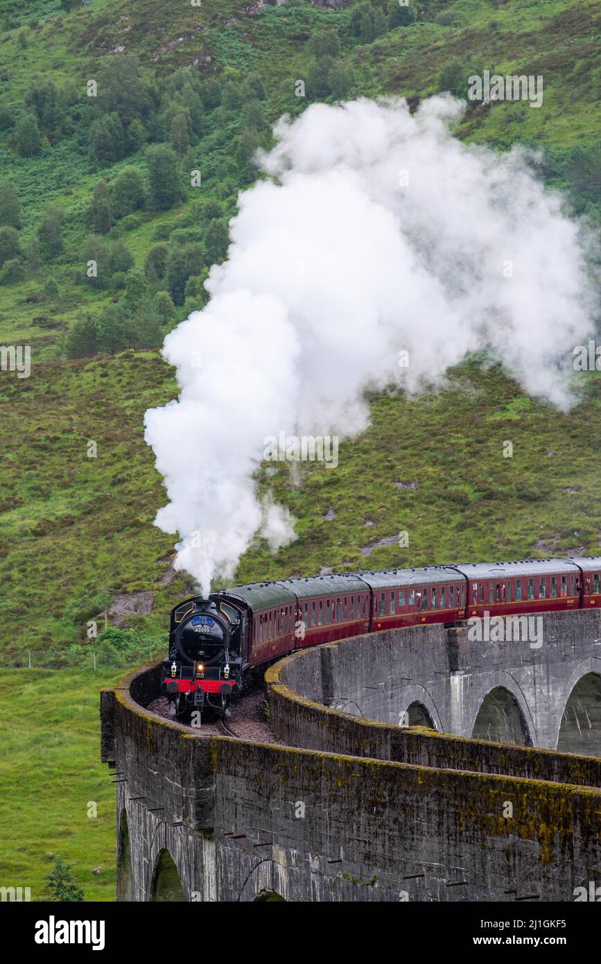 The Hogwarts express with steam on a bridge surrounded by green ...