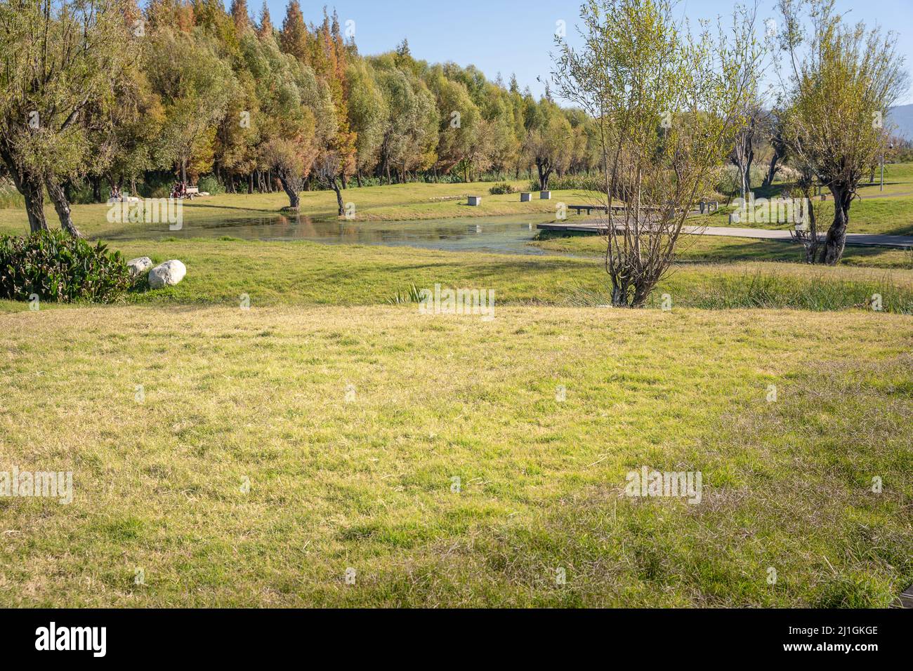 A small pond in the park with trees in the background Stock Photo - Alamy