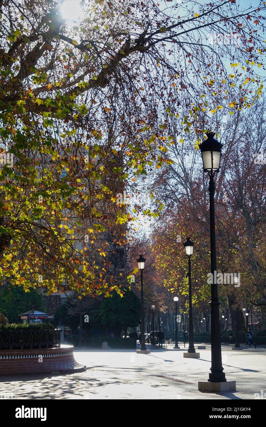 Park lamps hi-res stock photography and images - Alamy