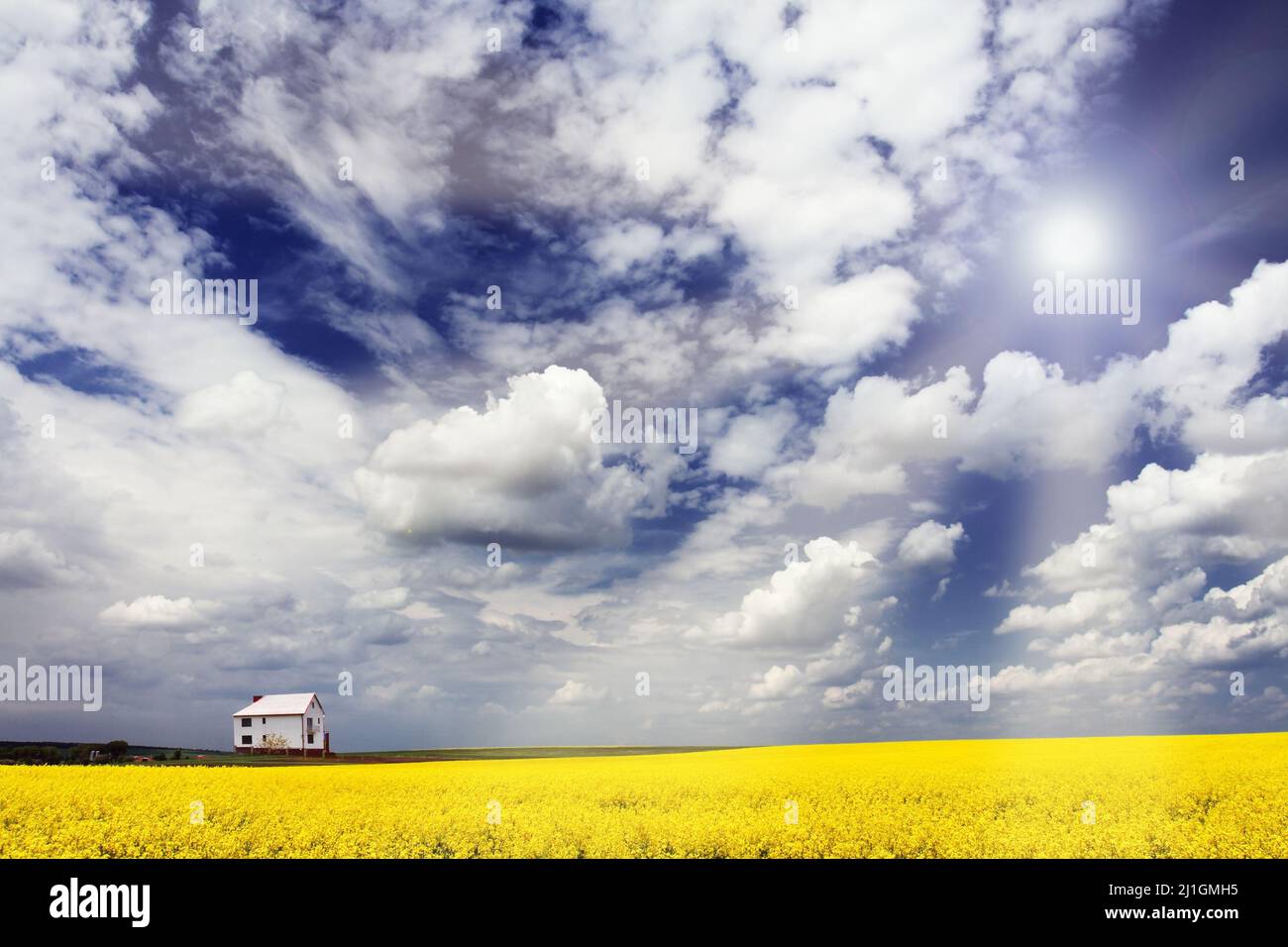 spring field and the beautiful blue sky Stock Photo - Alamy