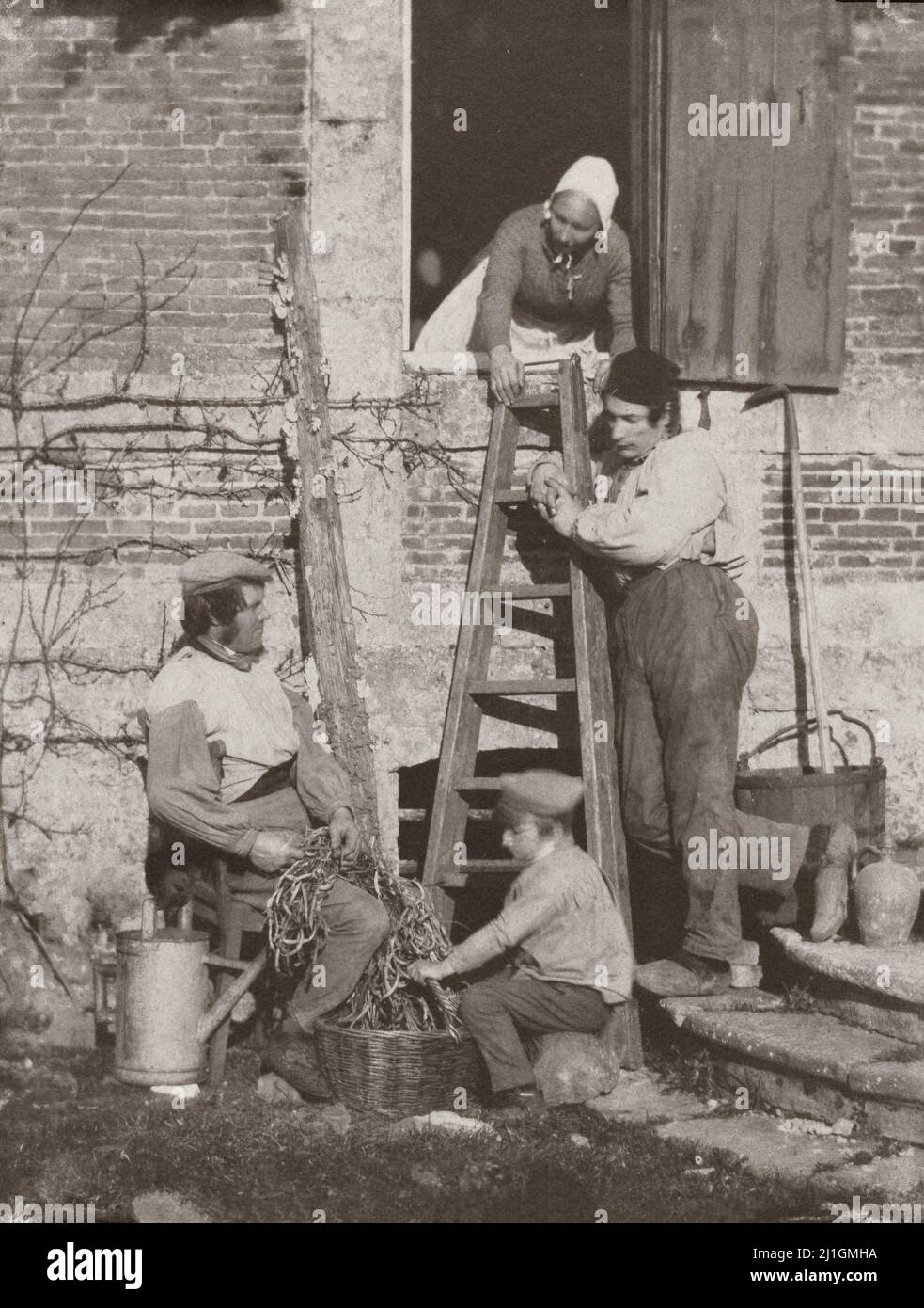 Photo of bean sorters in the 19th century hi-res stock photography and ...