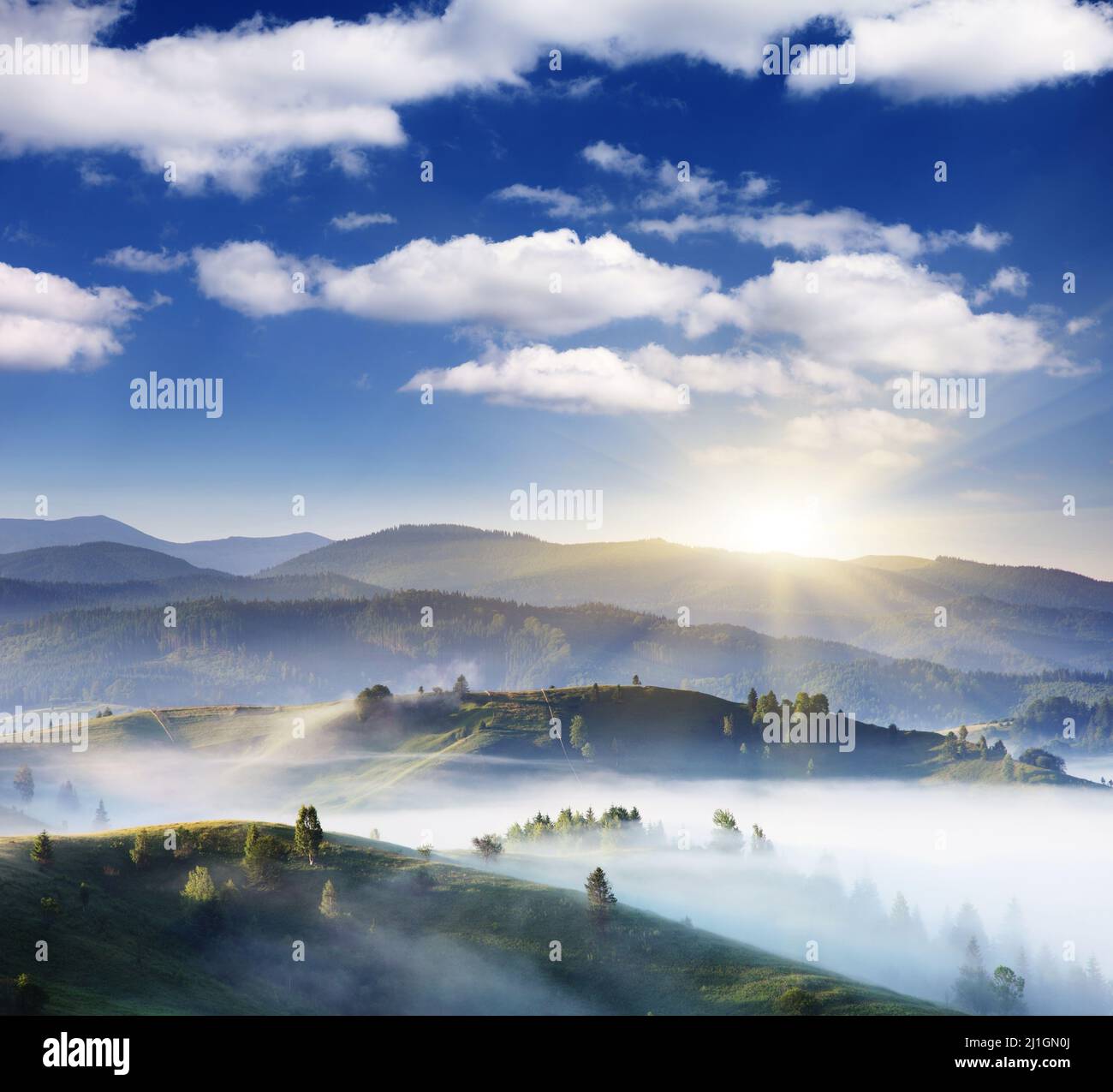 Morning mist cover tree and mountain in the sunshine Stock Photo - Alamy