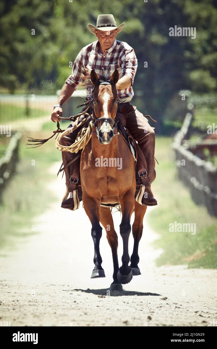 Yeeha. A cowboy on his horse Stock Photo - Alamy