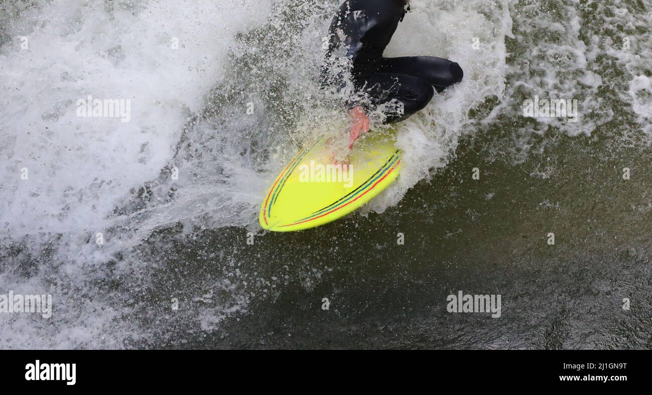 young athlete surfing with surfboard on the river in the city of munich ...