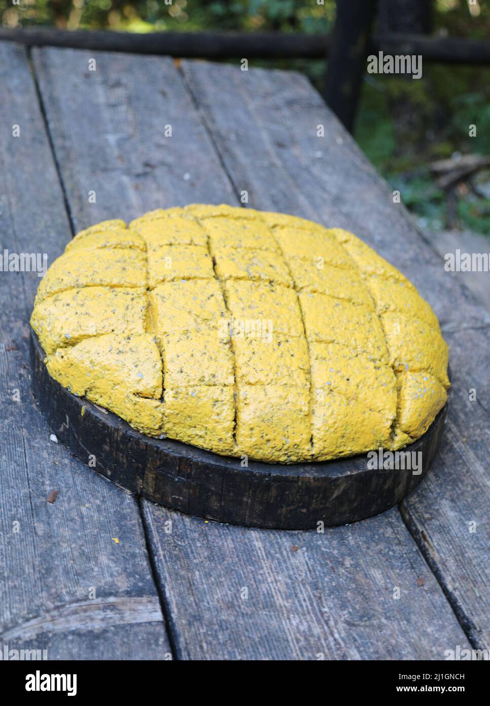 table with a large yellow polenta a typical dish from northern Italy ...